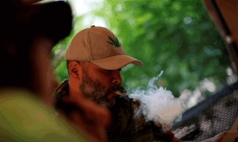 'Smoke with freedom': Mexicans get high in marijuana garden outside Senate
