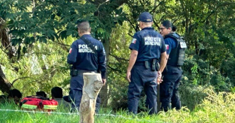 Crocodile Spotted Carrying Human Body Caused Alarm in Puerto Vallarta ...