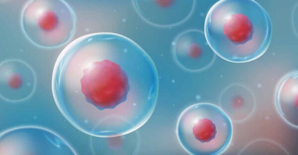 CDC Alerts of Extrapulmonary Infection Outbreak Linked to Stem Cell ...