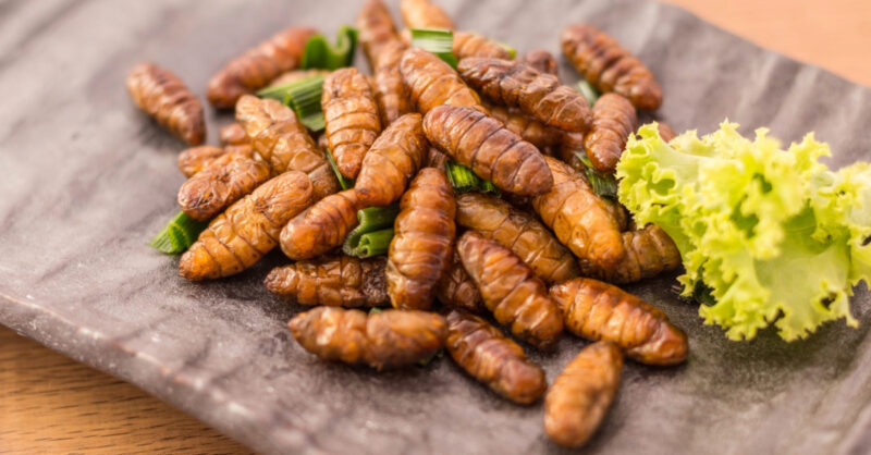 Insect Cuisine in Mexico is About Tradition and Sustainability