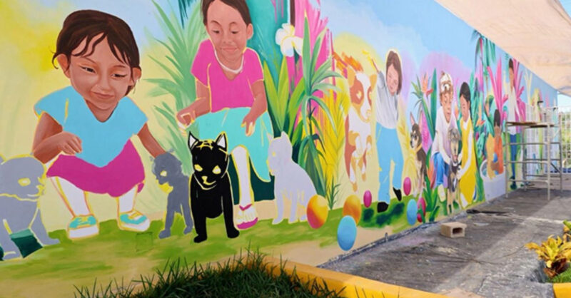 Isla Mujeres advances animal welfare center construction
