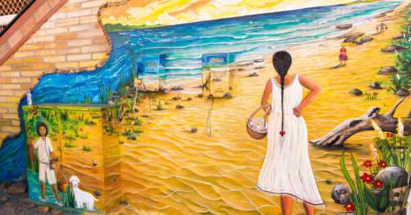 Historic center of Puerto Vallarta could soon receive a splash of color ...