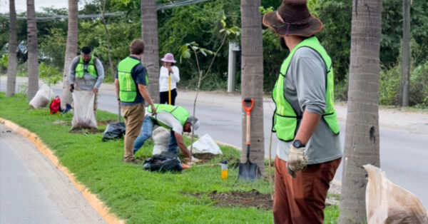 Puerto Vallarta transformation boosts mobility and sustainability