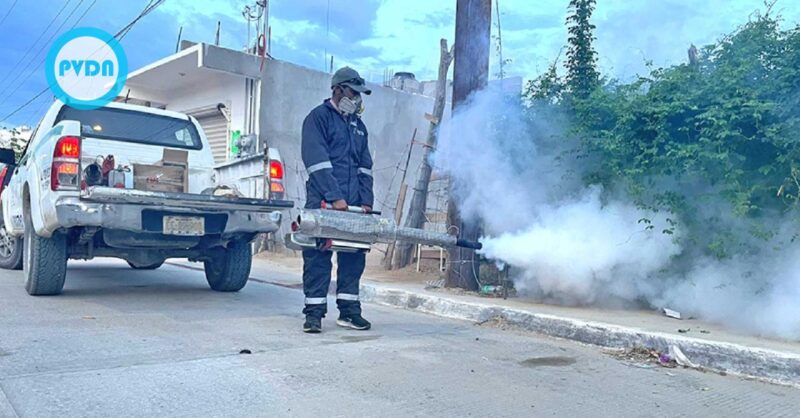 Los Cabos dengue fumigation begins Friday across the cape