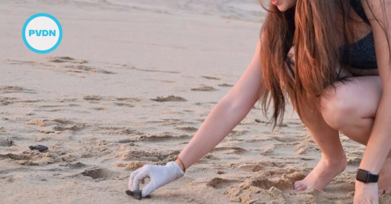 Los Cabos ecotourism puts wildlife at risk, expert says