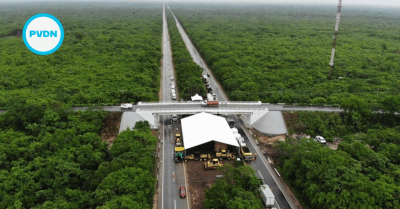 Tren Maya lawsuits put AMLO’s legacy on trial again