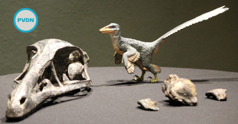 New dinosaur from Coahuila adds to Mexico’s fossil record