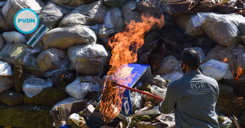 Watchdog Flags Unverified Fentanyl Seizure Numbers in Mexico - Mexico News