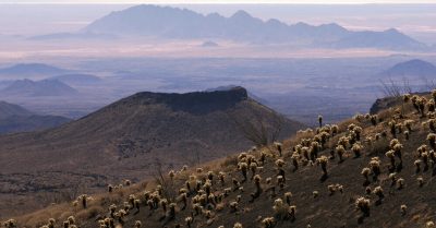 Mexico Desert Wonder Faces UNESCO Danger List Warning